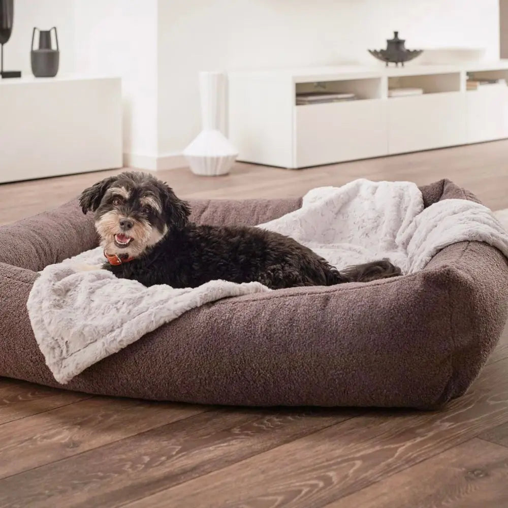 Luxuriöse Hundebetten für stilvolles Wohnen | Puplando